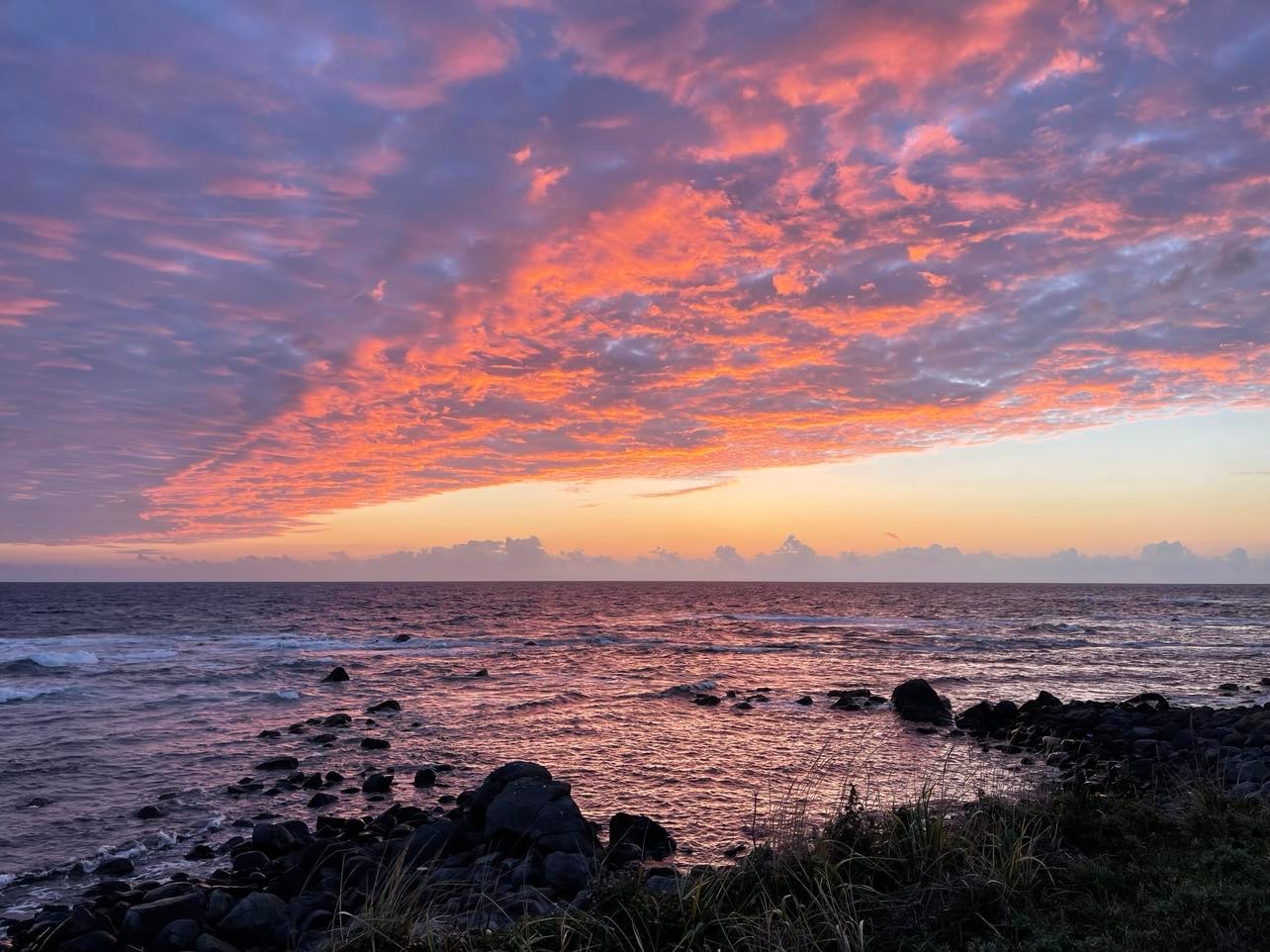 Best 5 things to do in Rebun Island Hokkaido - Japan Travel Guide Blog